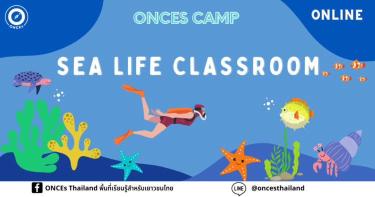 Sea Life Classroom เปิดโลกเรียนรู้ท้องทะเล ห้องเรียนสัตว์น้ำ - CAMPHUB