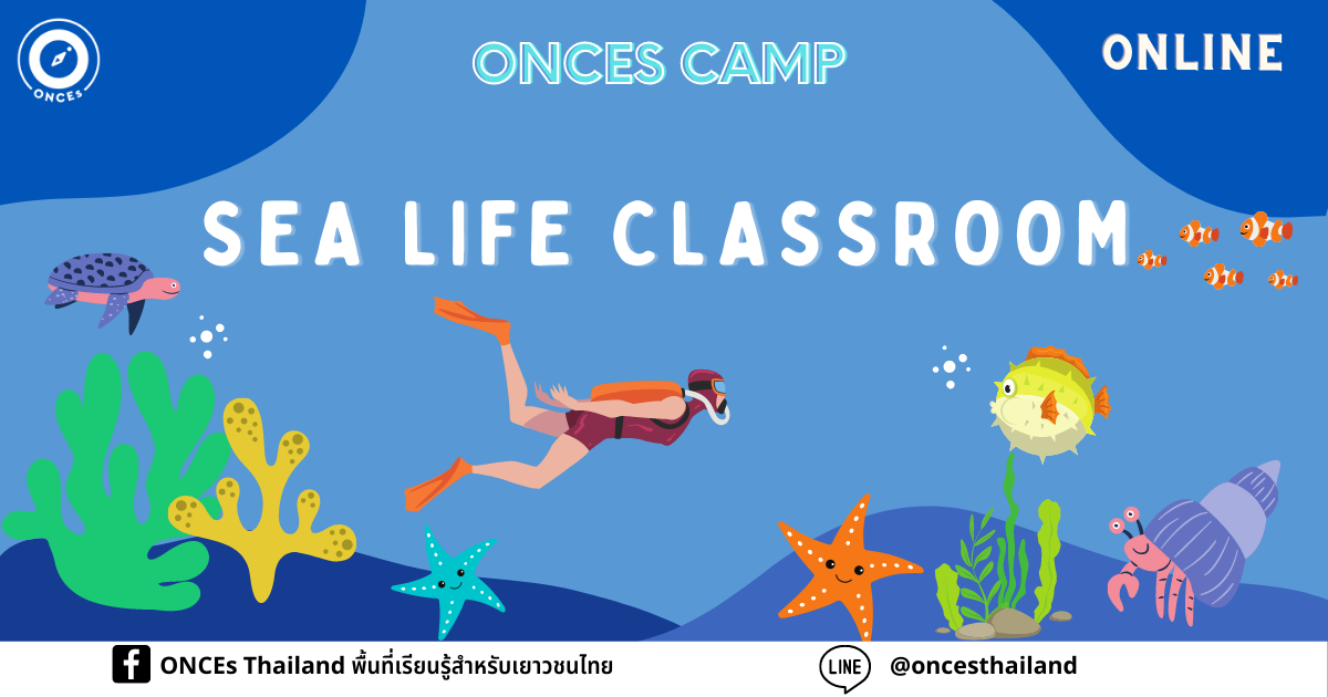 Sea Life Classroom เปิดโลกเรียนรู้ท้องทะเล ห้องเรียนสัตว์น้ำ - CAMPHUB