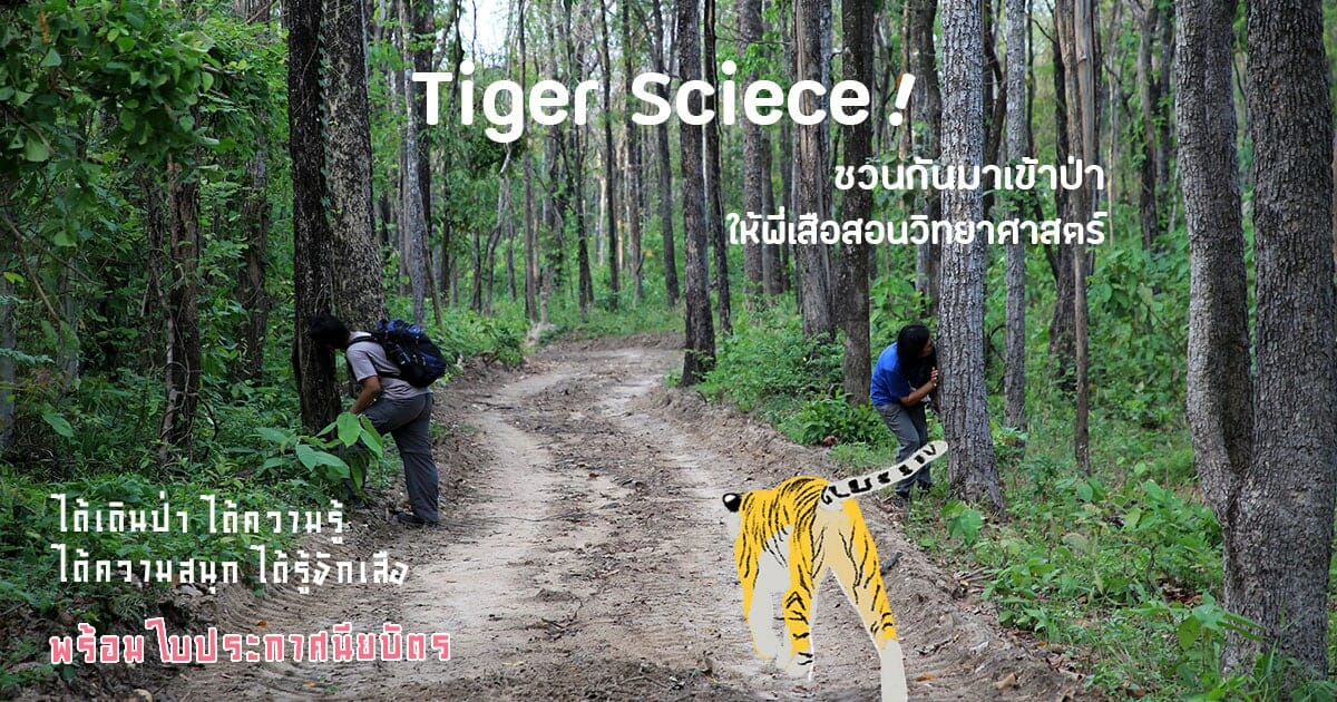 เสือศาสตร์ - Tiger Science 101 - CAMPHUB