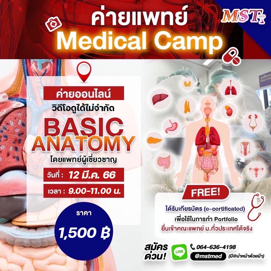 Medical Camp ค่ายออนไลน์ วิดีโอดูได้ไม่จำกัด BASIC ANATOMY - CAMPHUB