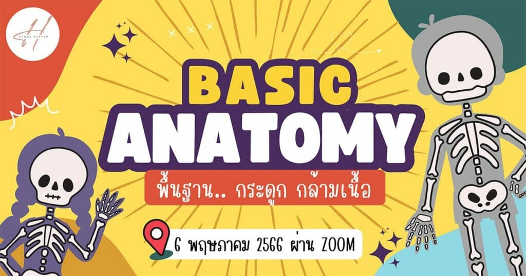 Basic Anatomy พื้นฐานกระดูกและกล้ามเนื้อ - CAMPHUB