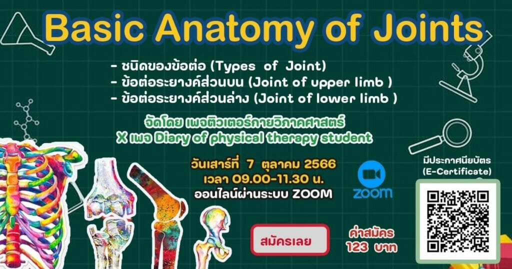 Basic Anatomy of Joints - CAMPHUB