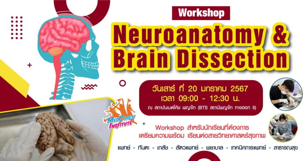 Workshop on Neuroanatomy & Brain Dissection - CAMPHUB
