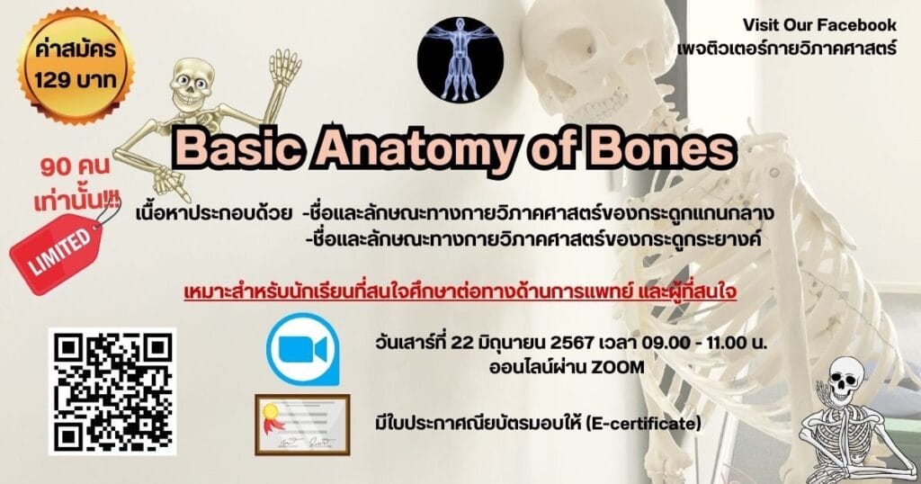 Basic Anatomy of Bones - CAMPHUB