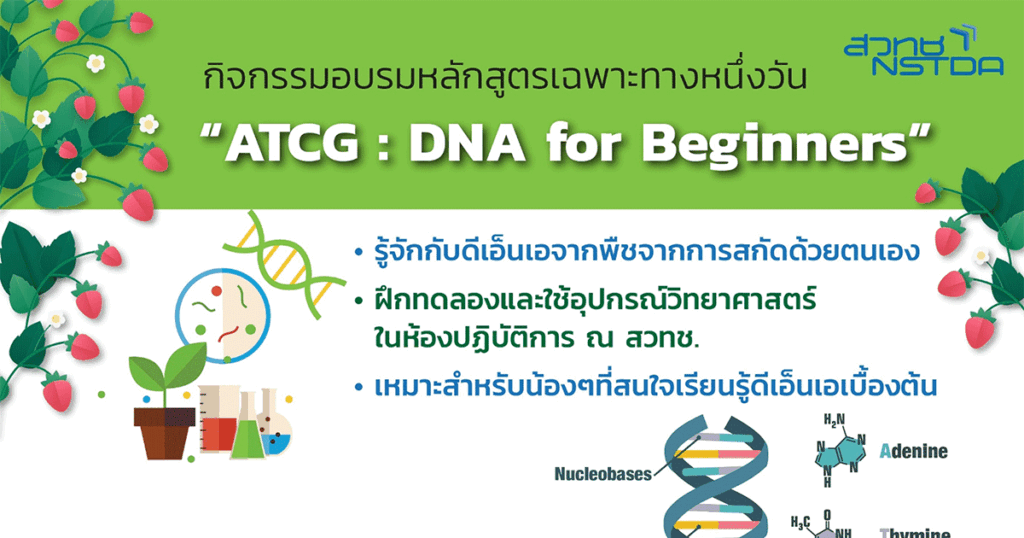 ค่าย/กิจกรรมสาขาวิทยาศาสตร์ คณิตศาสตร์ ดาราศาสตร์ STEM - CAMPHUB