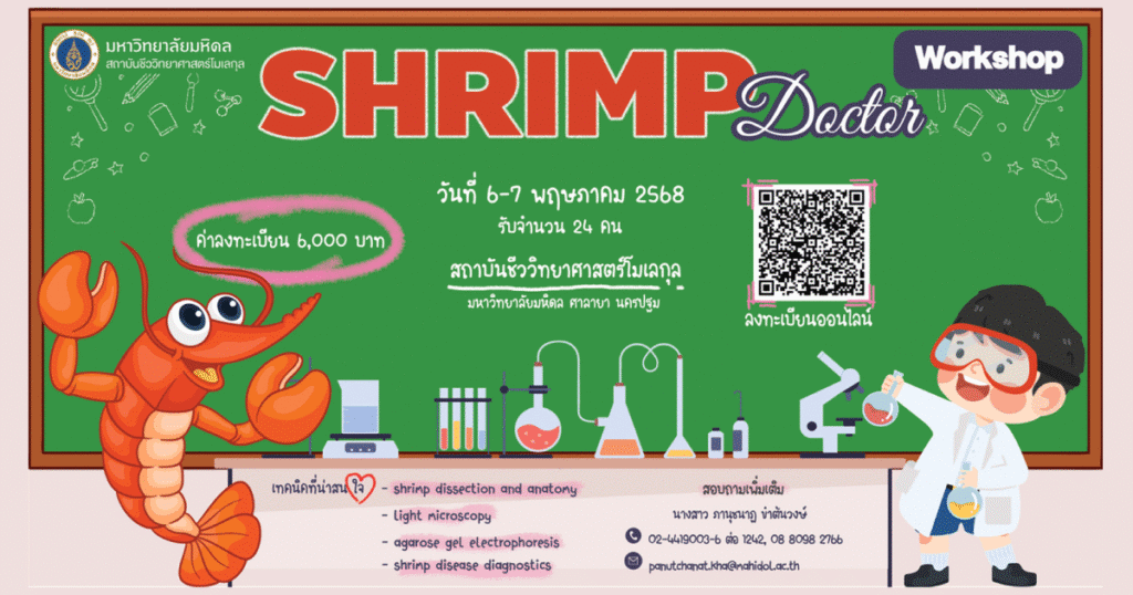 ค่าย/กิจกรรมสาขาวิทยาศาสตร์ คณิตศาสตร์ ดาราศาสตร์ STEM - CAMPHUB